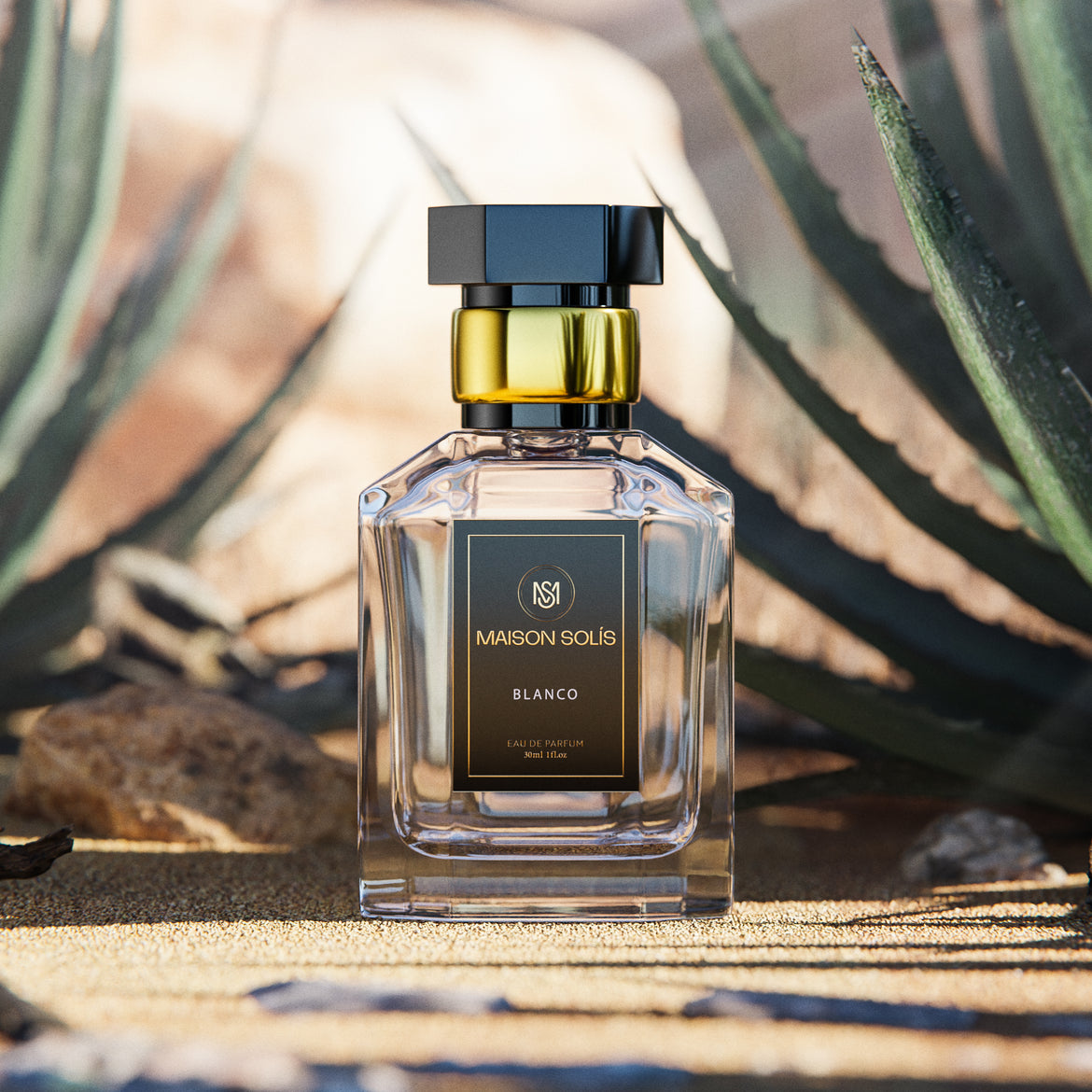 Fragrance – Maison Solís